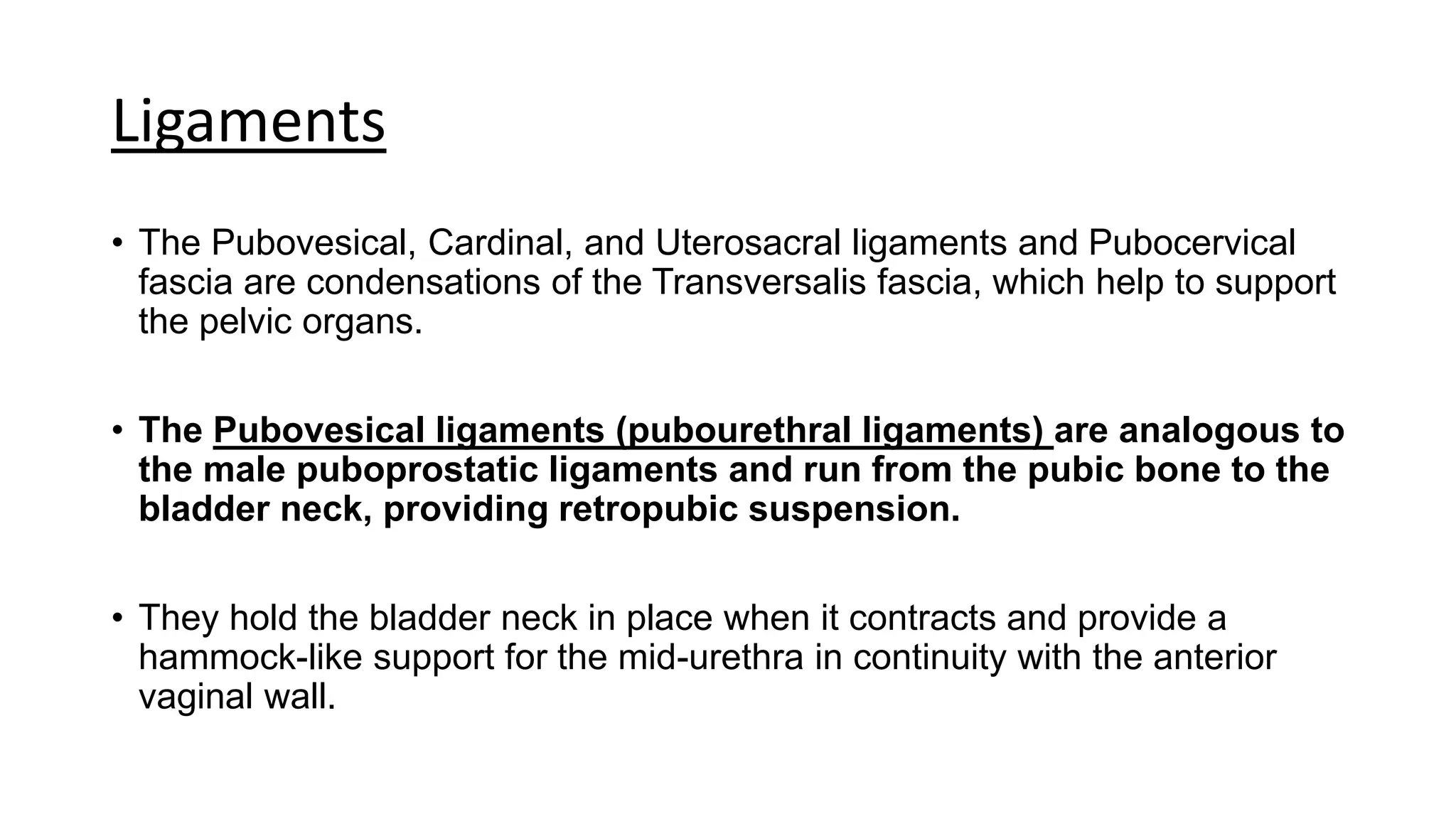 Surgical Anatomy of female pelvis.pptx