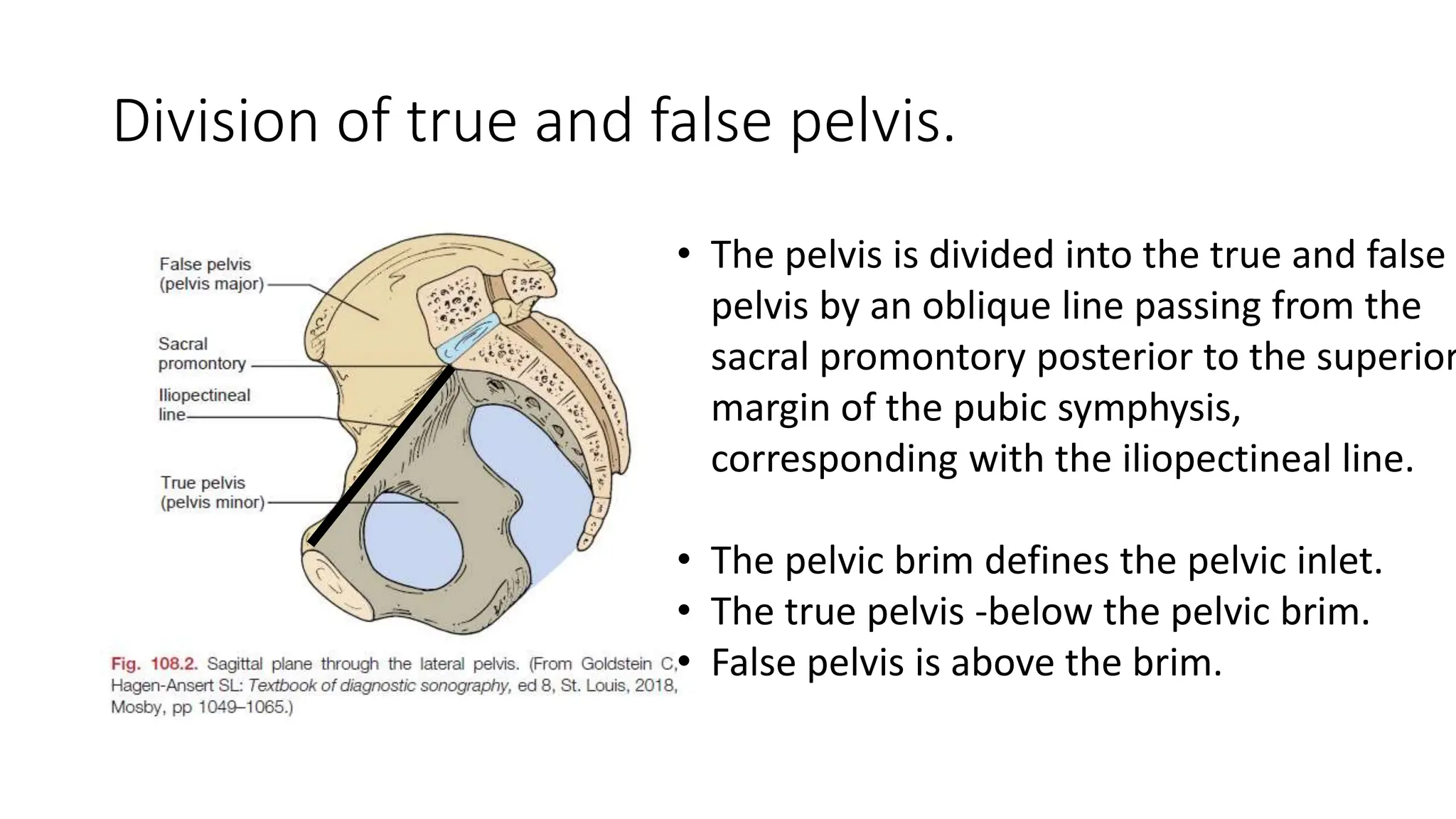 Surgical Anatomy of female pelvis.pptx