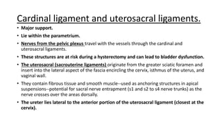 Surgical Anatomy of female pelvis.pptx