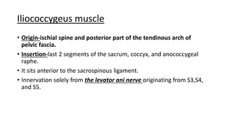 Surgical Anatomy of female pelvis.pptx
