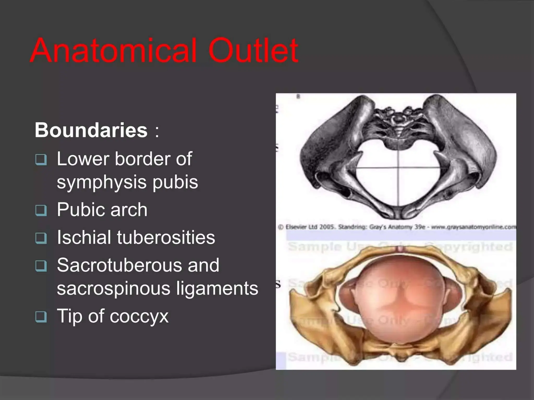 Anatomy of female pelvis female pelvis is wider | PPT
