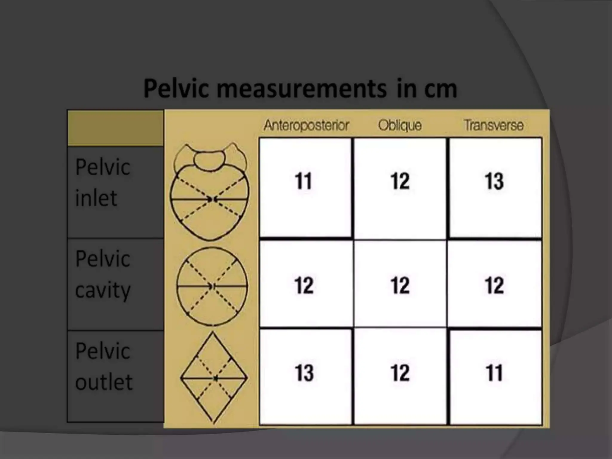 Anatomy of female pelvis female pelvis is wider | PPT