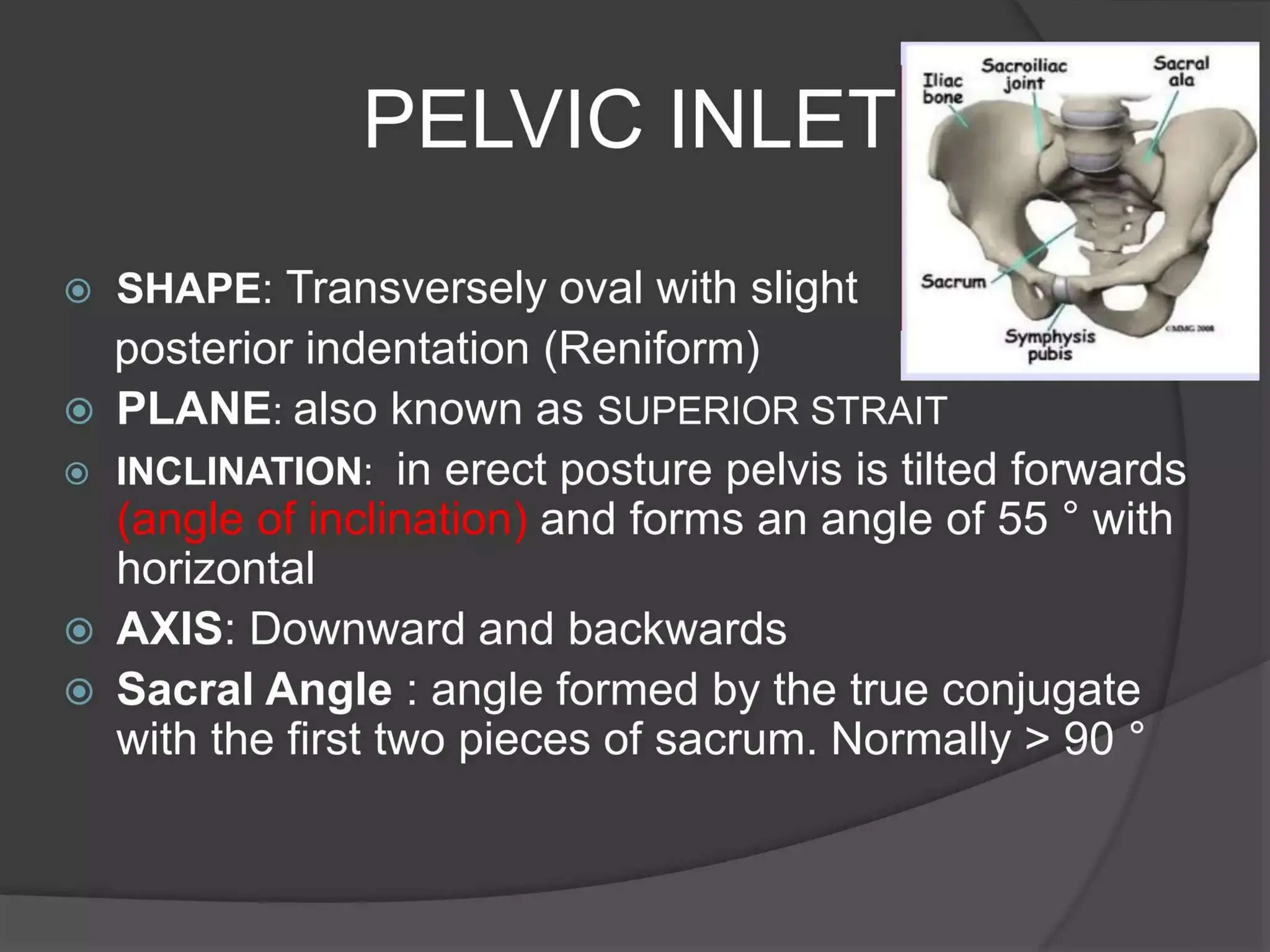 Anatomy of female pelvis female pelvis is wider | PPT