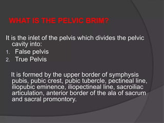 Anatomy of female pelvis female pelvis is wider | PPTX