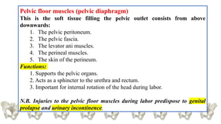 Anatomy of female pelvis, bones and its ligaments.pptx