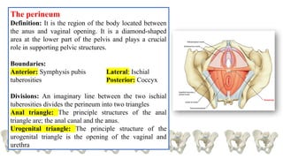 Anatomy of female pelvis, bones and its ligaments.pptx