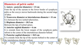 Anatomy of female pelvis, bones and its ligaments.pptx