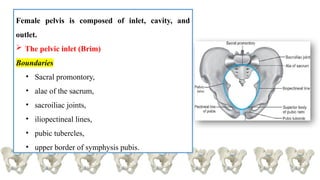Anatomy of female pelvis, bones and its ligaments.pptx