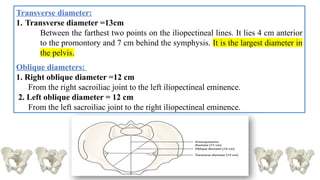 Anatomy of female pelvis, bones and its ligaments.pptx