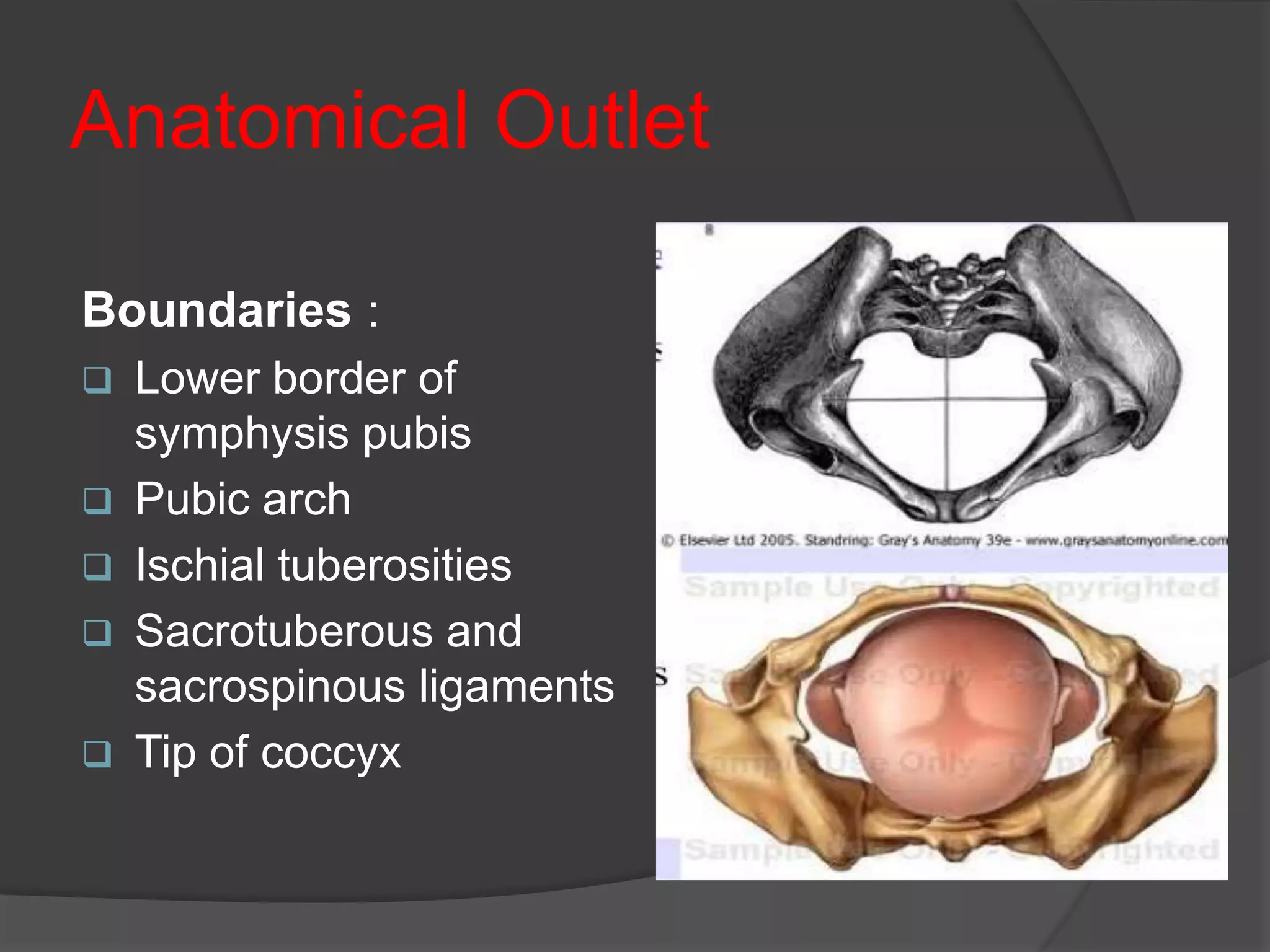Anatomy of female pelvis and Fetal Diameters 2020.pptx