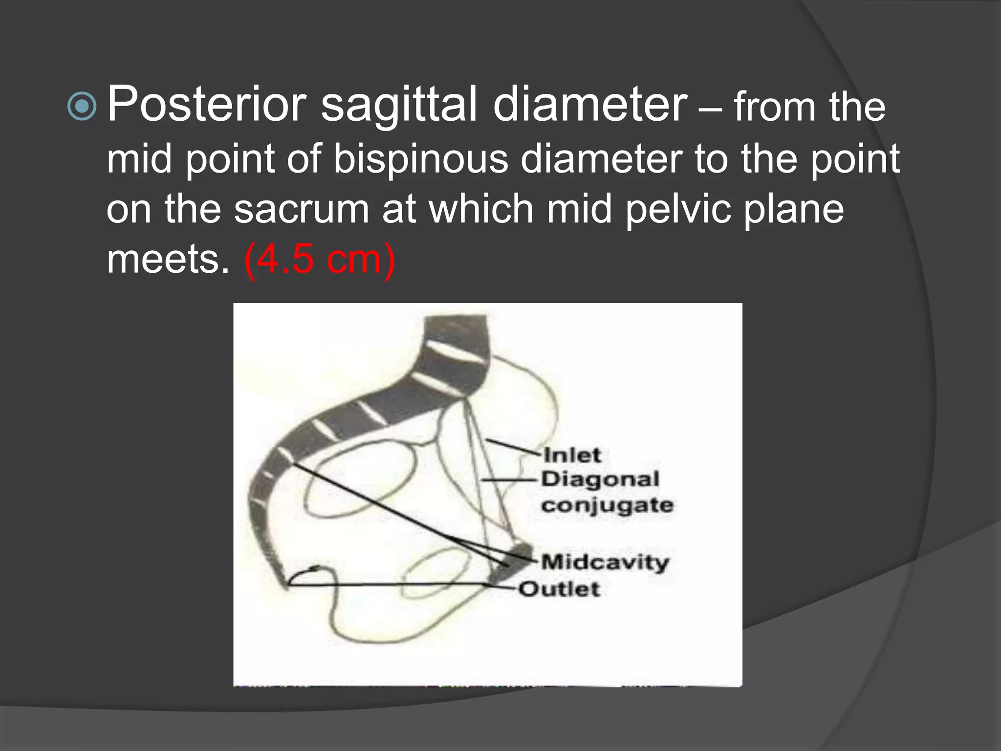 Anatomy of female pelvis and Fetal Diameters 2020.pptx