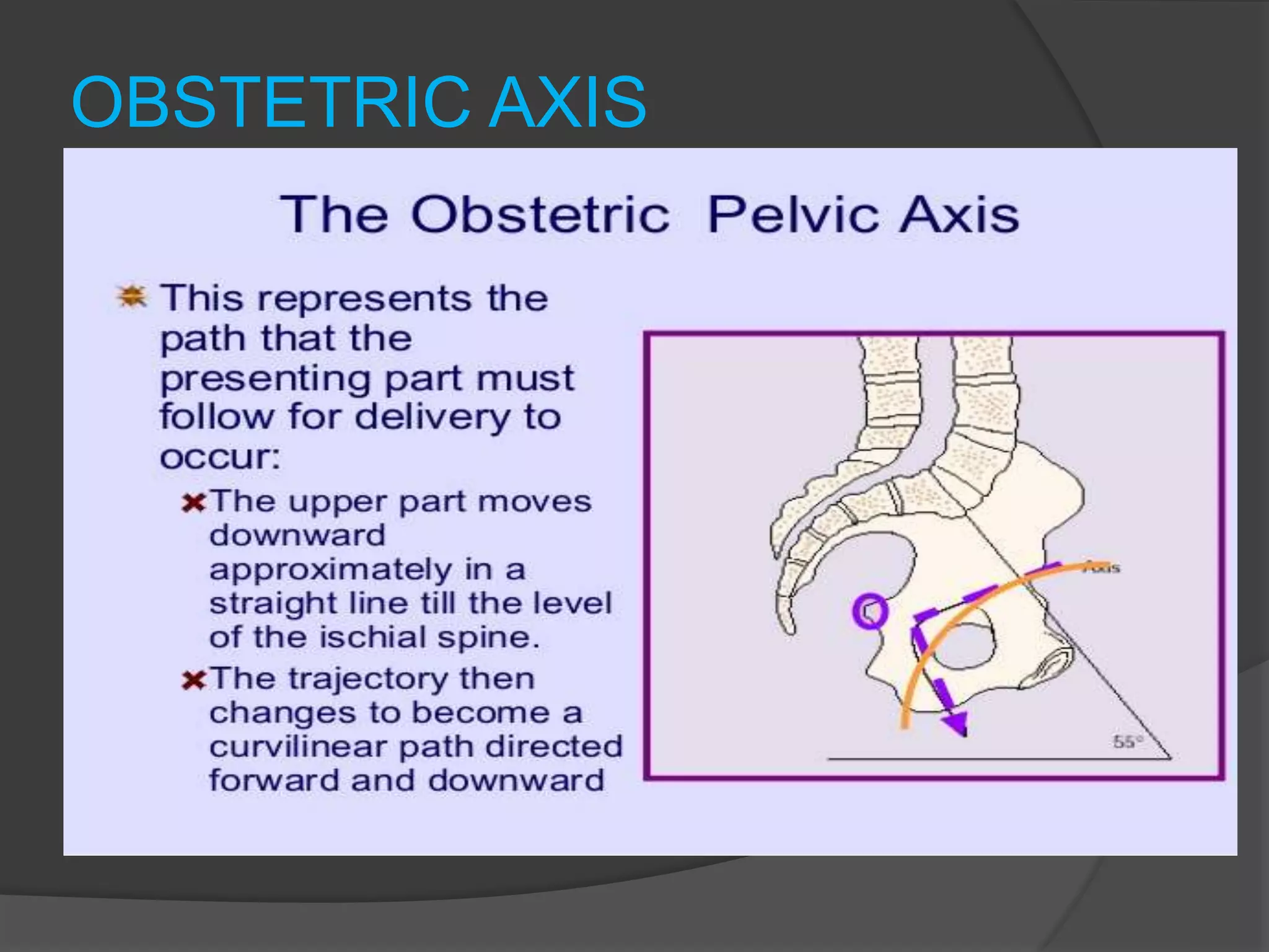 Anatomy of female pelvis and Fetal Diameters 2020.pptx