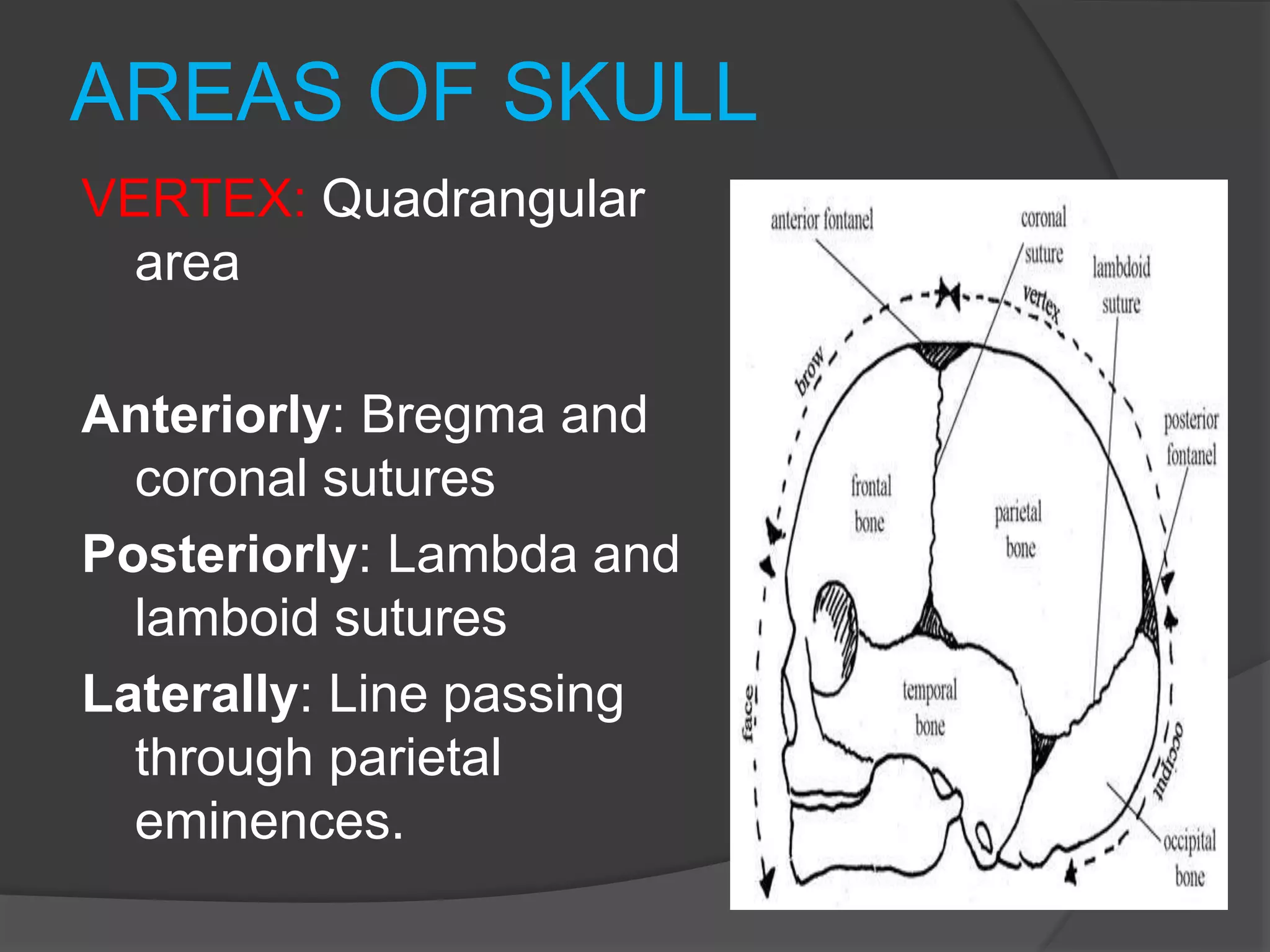 Anatomy of female pelvis and Fetal Diameters 2020.pptx