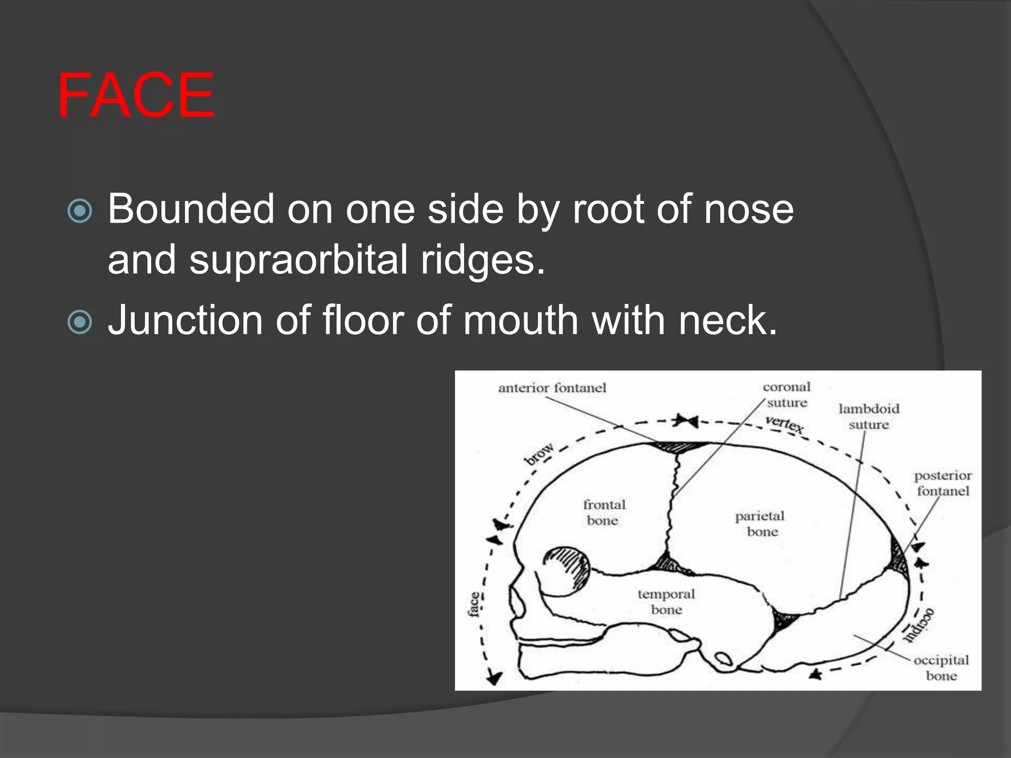 Anatomy of female pelvis and Fetal Diameters 2020.pptx