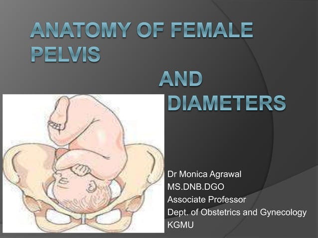 Anatomy of female pelvis and Fetal Diameters 2020.pptx