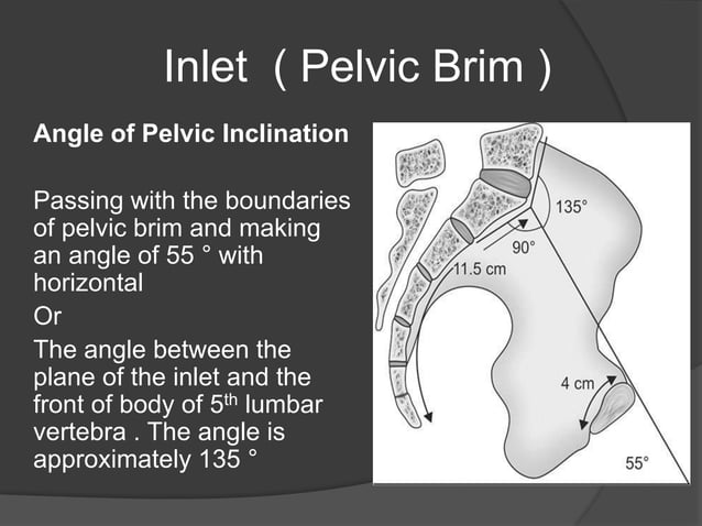 Anatomy of female pelvis and Fetal Diameters 2020.pptx
