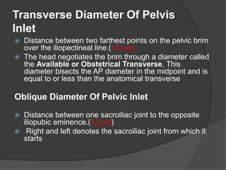 Anatomy of female pelvis and Fetal Diameters 2020.pptx