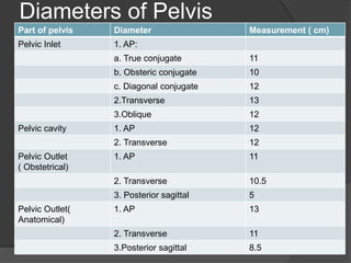 Anatomy of female pelvis and Fetal Diameters 2020.pptx