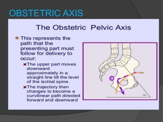 Anatomy of female pelvis and Fetal Diameters 2020.pptx