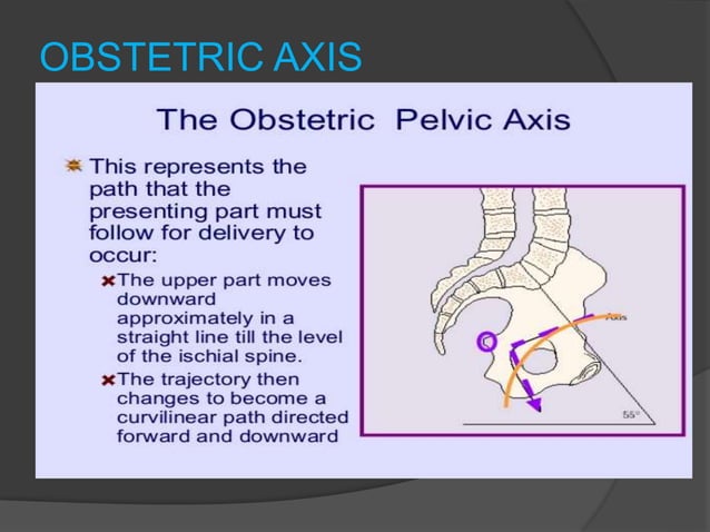 Anatomy of female pelvis and Fetal Diameters 2020.pptx