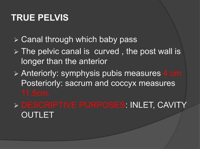 Anatomy of female pelvis and Fetal Diameters 2020.pptx