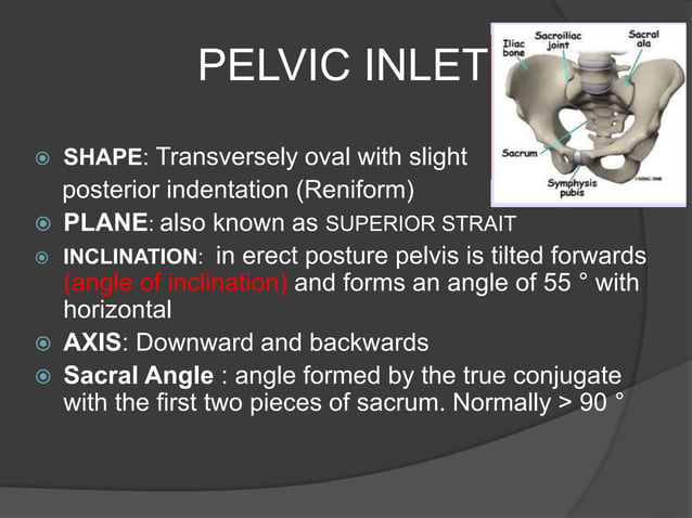 Anatomy of female pelvis and Fetal Diameters 2020.pptx