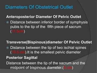Anatomy of female pelvis and Fetal Diameters 2020.pptx