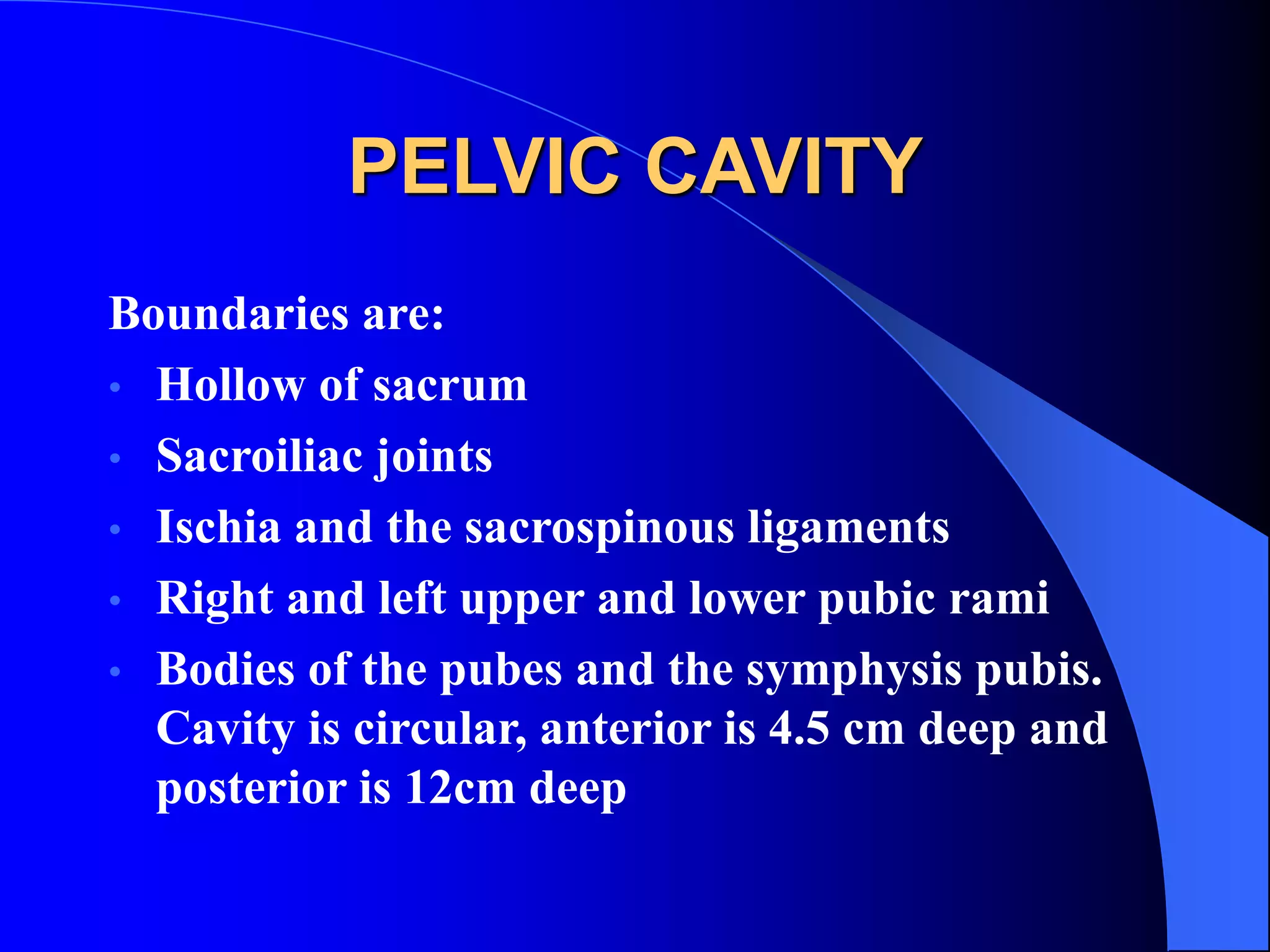 ANATOMY OF FEMALE PELVIS AND FETAL SKULL.ppt