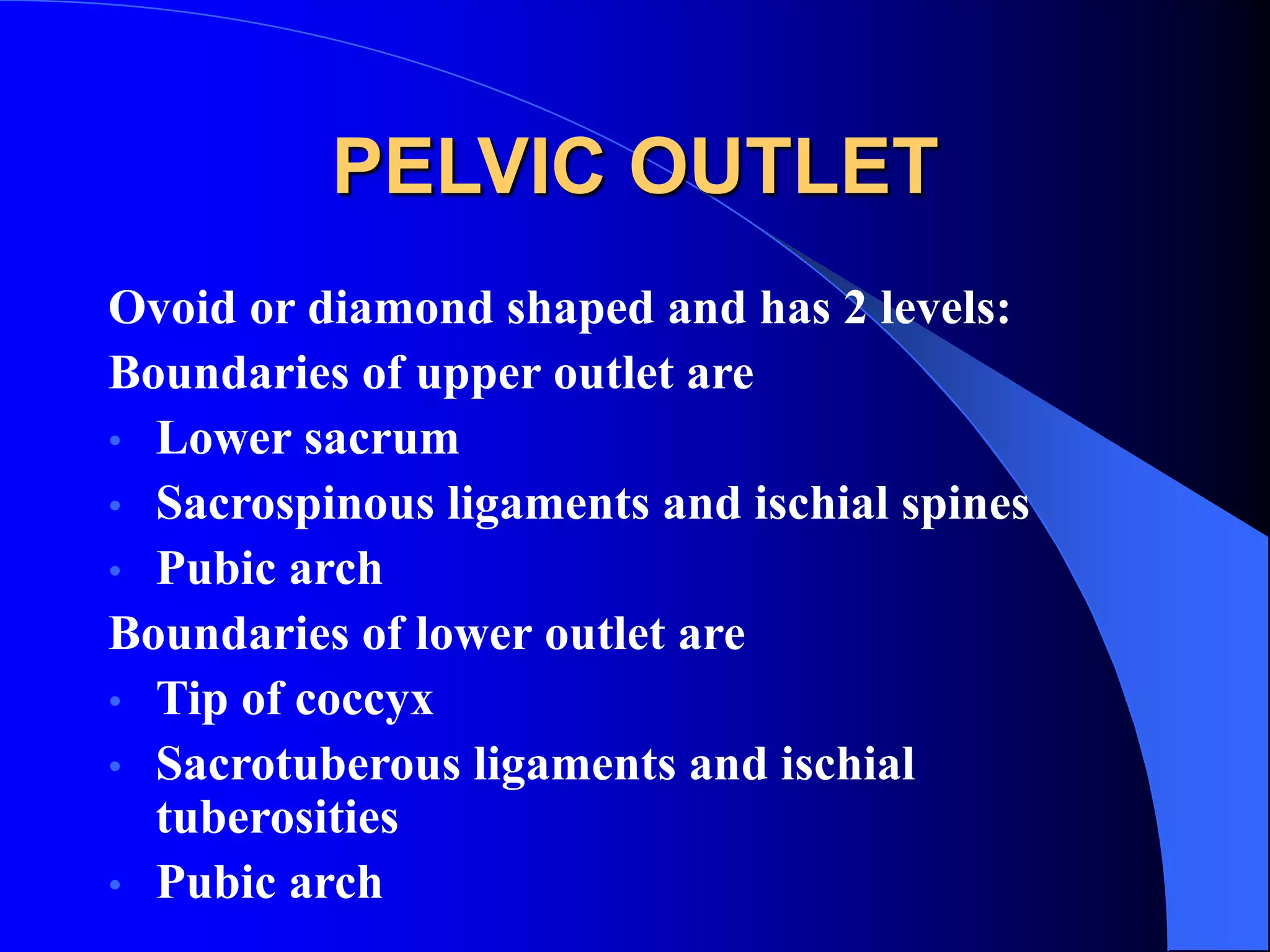 ANATOMY OF FEMALE PELVIS AND FETAL SKULL.ppt