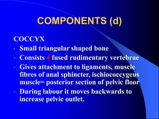 ANATOMY OF FEMALE PELVIS AND FETAL SKULL.ppt