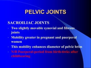 ANATOMY OF FEMALE PELVIS AND FETAL SKULL.ppt