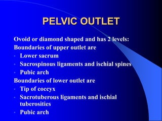 ANATOMY OF FEMALE PELVIS AND FETAL SKULL.ppt