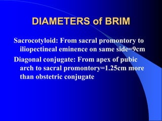 ANATOMY OF FEMALE PELVIS AND FETAL SKULL.ppt