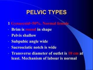 ANATOMY OF FEMALE PELVIS AND FETAL SKULL.ppt