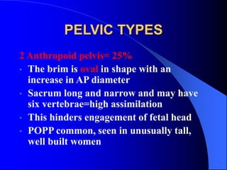 ANATOMY OF FEMALE PELVIS AND FETAL SKULL.ppt