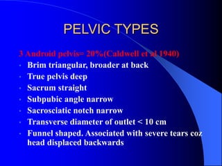 ANATOMY OF FEMALE PELVIS AND FETAL SKULL.ppt