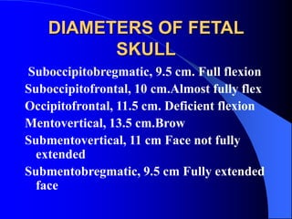 ANATOMY OF FEMALE PELVIS AND FETAL SKULL.ppt