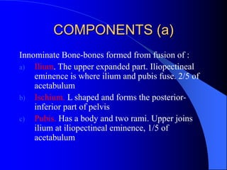 ANATOMY OF FEMALE PELVIS AND FETAL SKULL.ppt