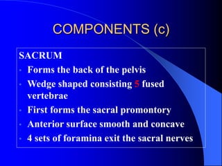 ANATOMY OF FEMALE PELVIS AND FETAL SKULL.ppt