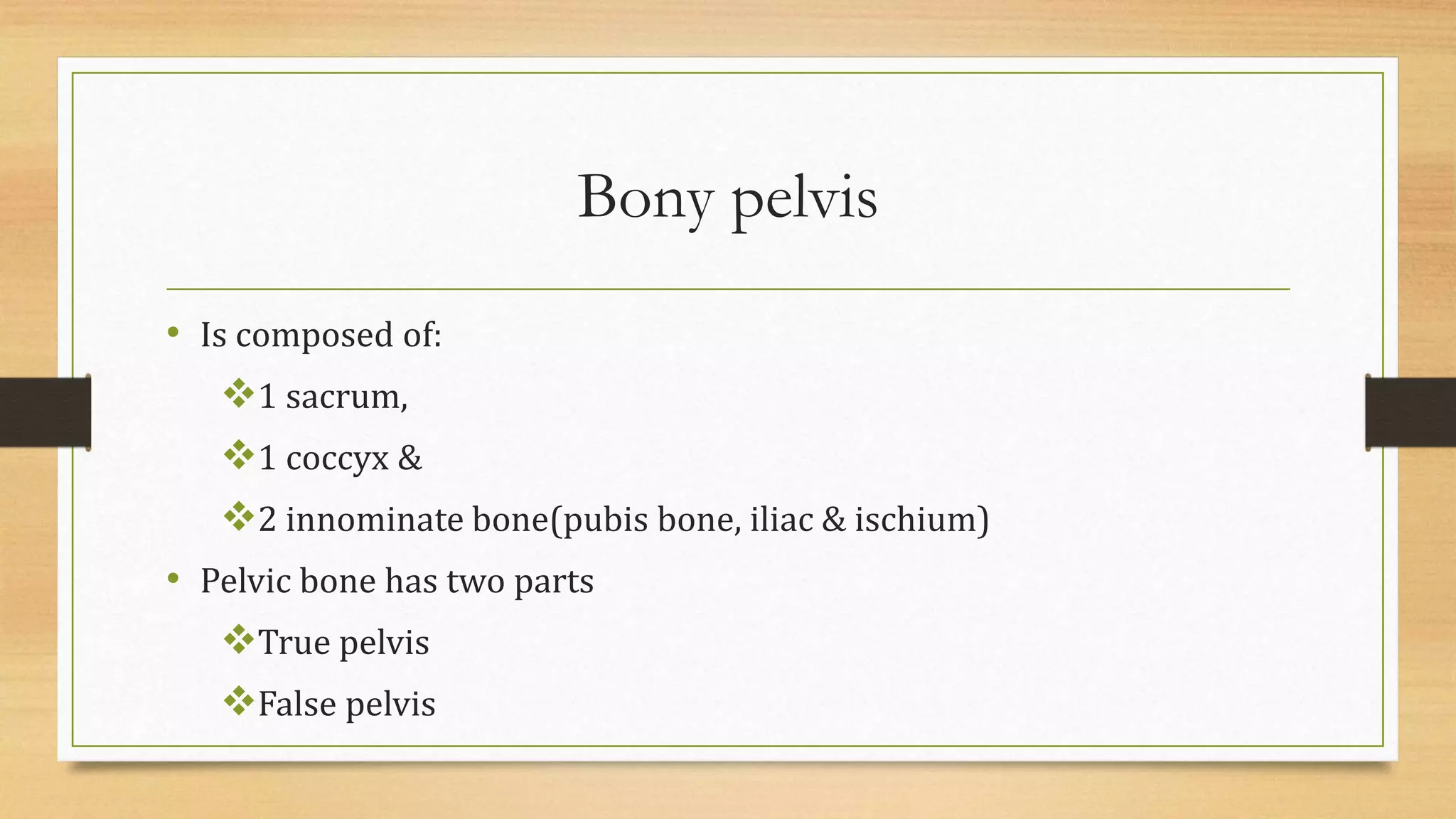 Anatomy of female pelvis & genital organs | PPTX