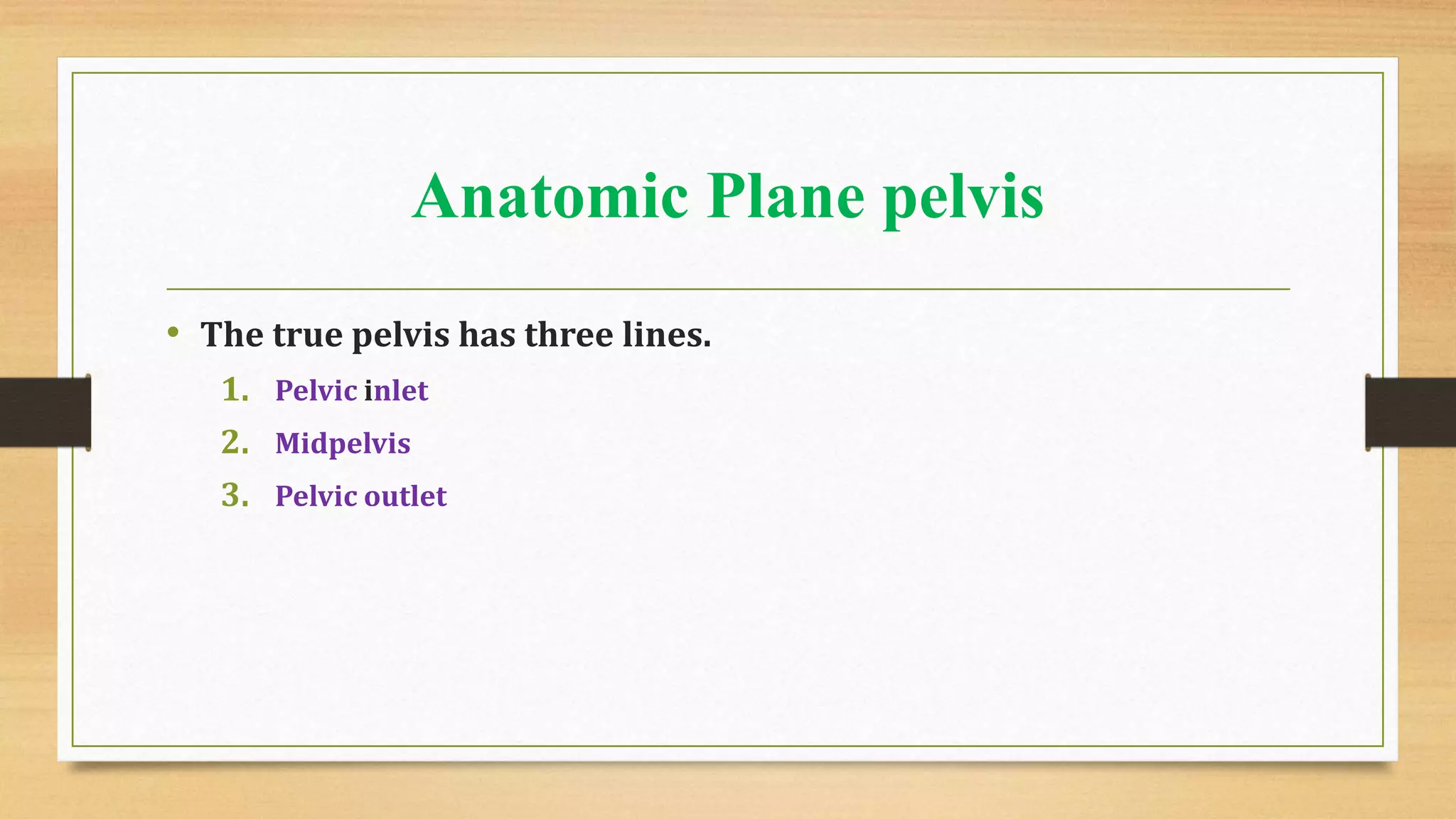 Anatomy of female pelvis & genital organs | PPTX