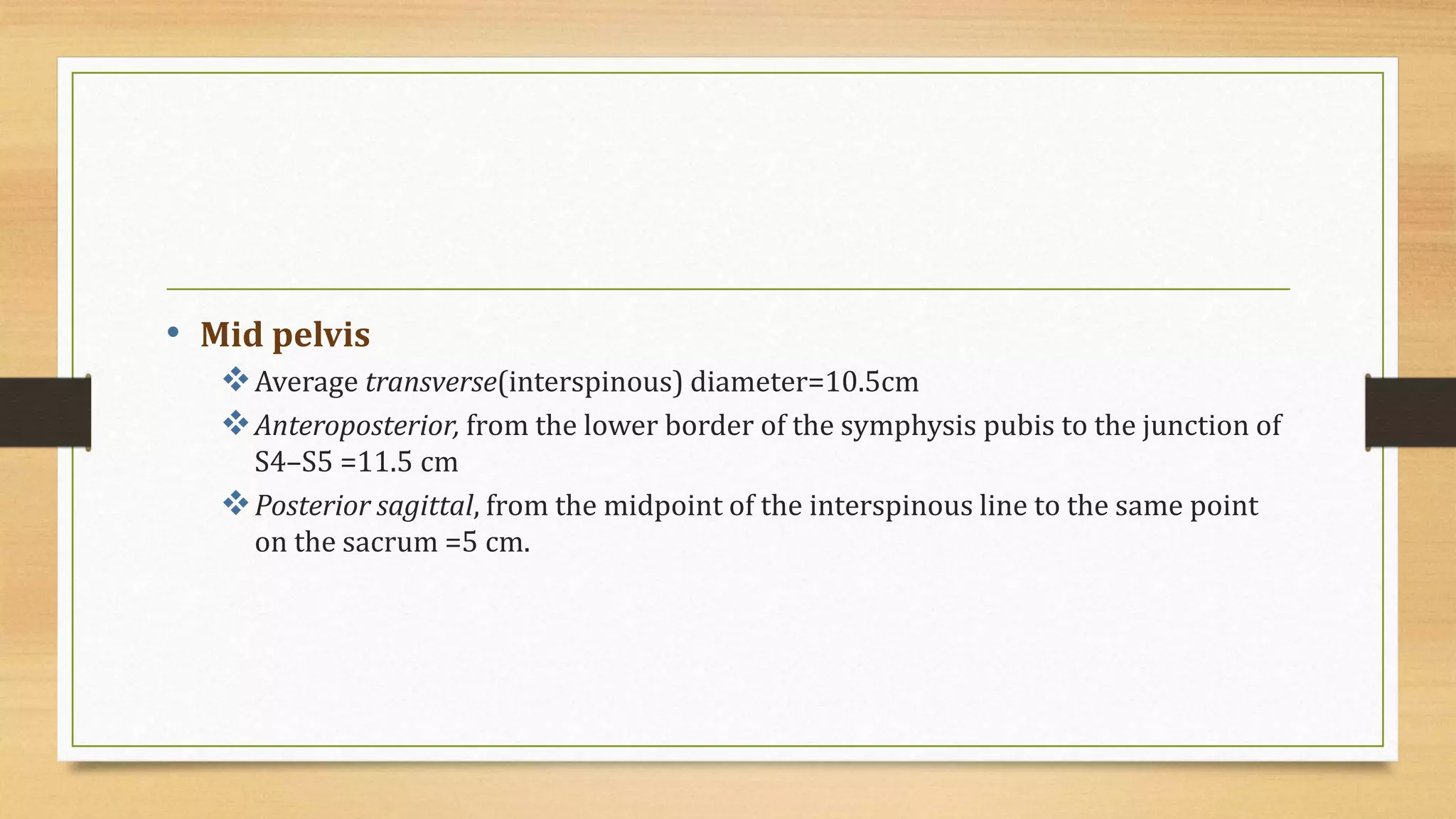 Anatomy of female pelvis & genital organs | PPTX