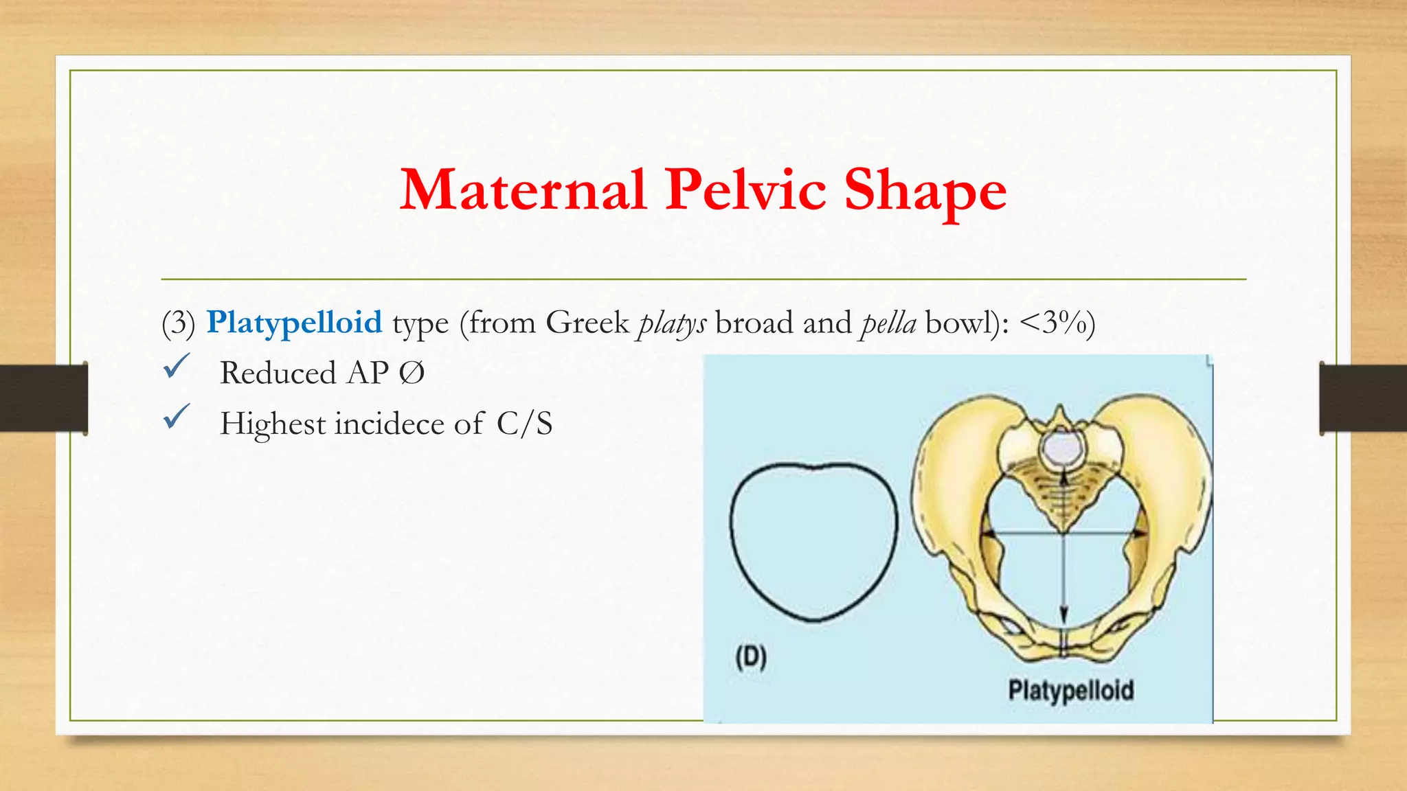 Anatomy of female pelvis & genital organs | PPTX