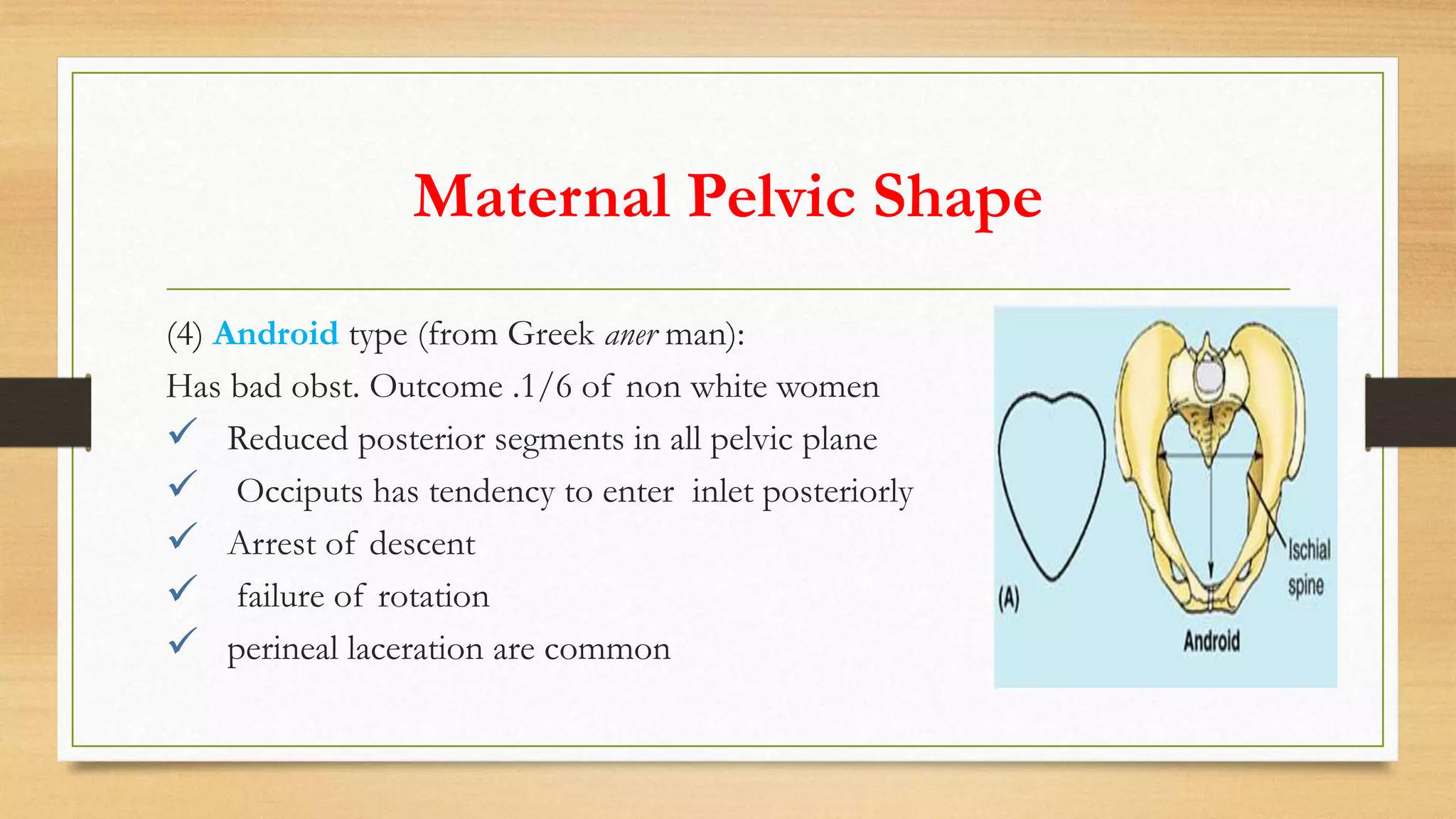 Anatomy of female pelvis & genital organs | PPTX
