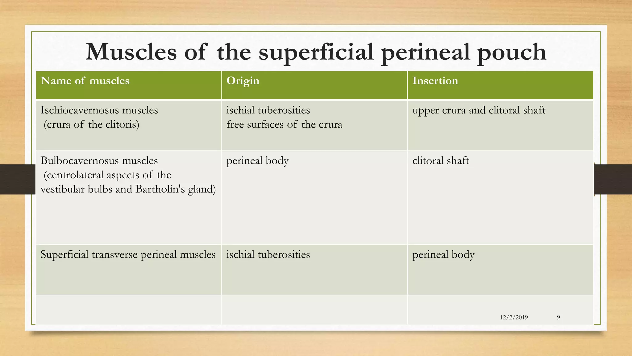 Anatomy of female pelvis & genital organs | PPTX