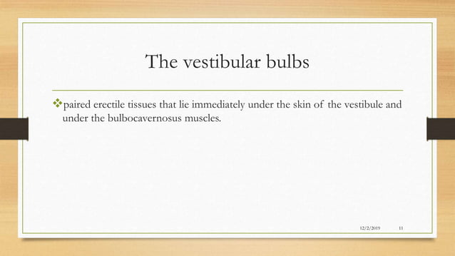 Anatomy of female pelvis & genital organs | PPTX