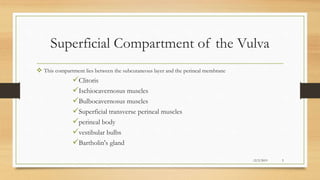 Anatomy of female pelvis & genital organs | PPTX