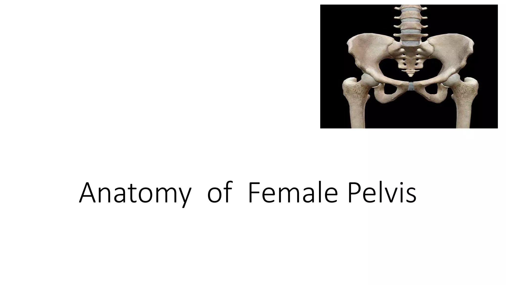 anatomy of female plevis.pptx