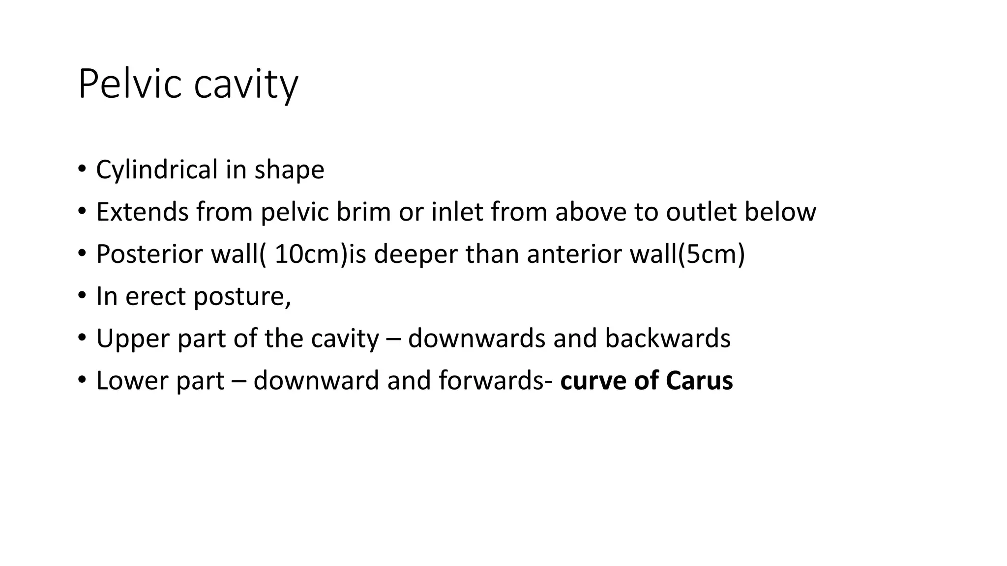 anatomy of female plevis.pptx