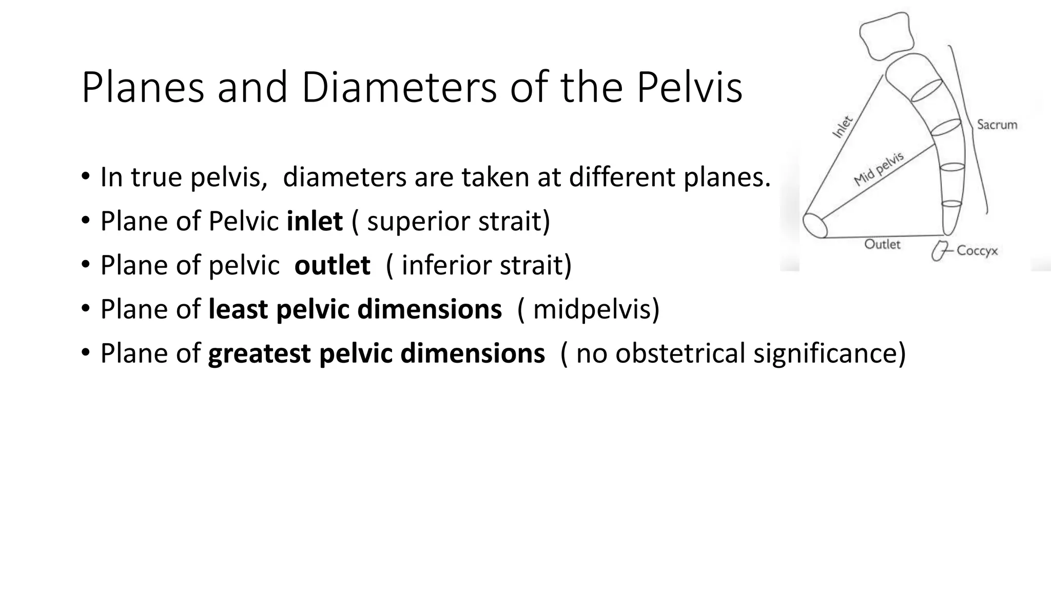anatomy of female plevis.pptx